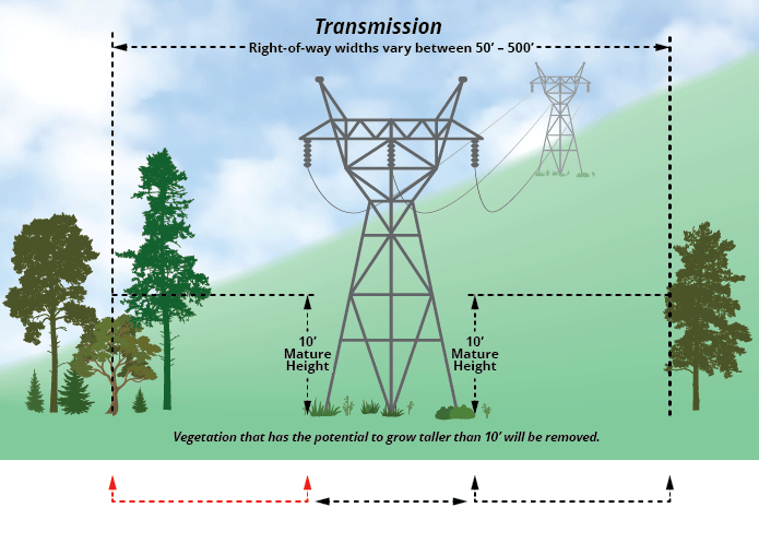 Trees and Power Lines | LG&E and KU