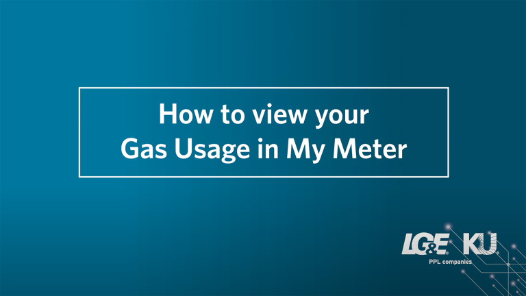 Learn more about the features and benefits of your My Meter dashboard ...